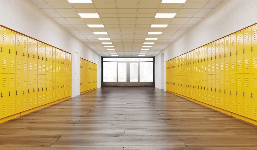 Higher Education and Regular School Management Systems: Differences